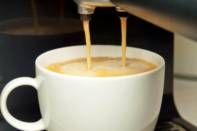 Partes de una cafetera de bar: ¿Conoces cada componente? - Gestión de ...