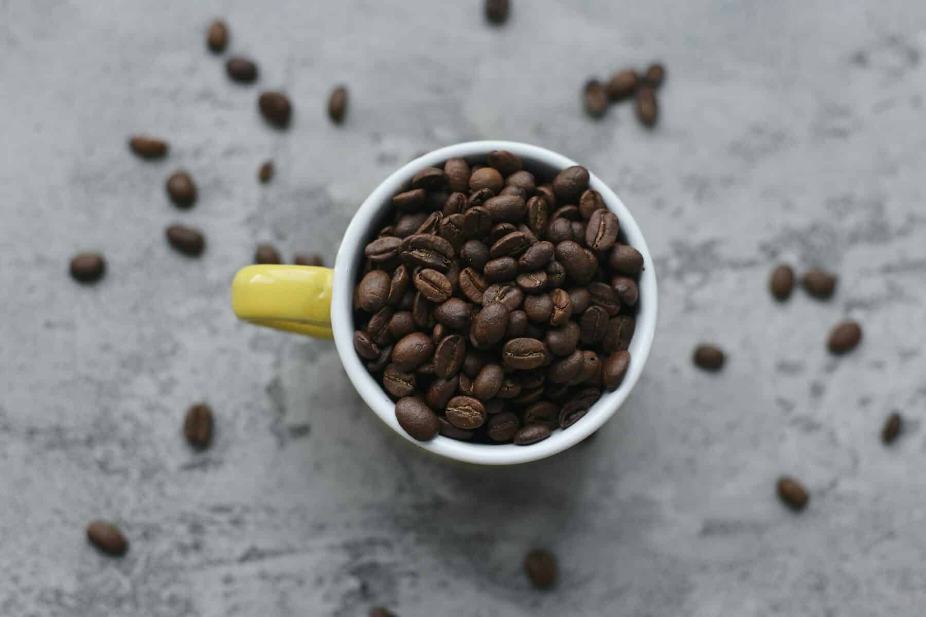 Cómo se llama la semilla del café: Origen y características - Gestión ...