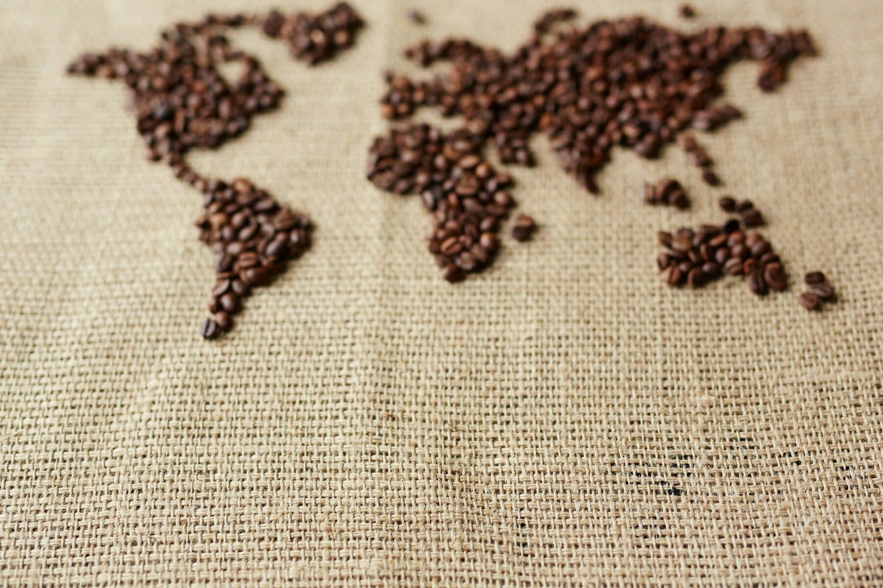 Vocabulario relacionado con el mundo del café - Gestión de Cafeterías